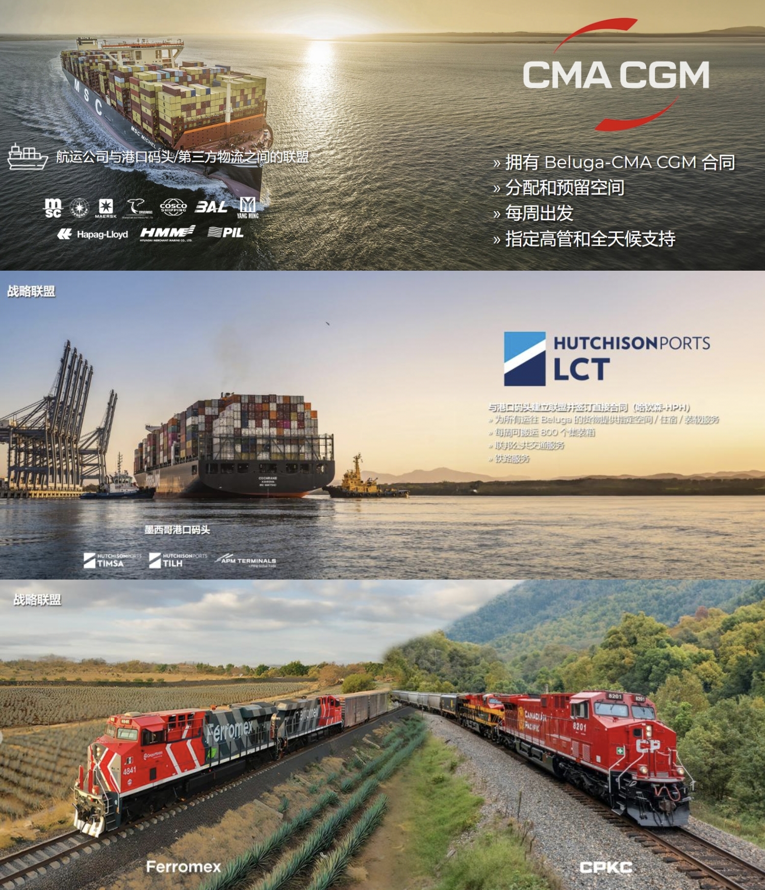 Member Spotlight: Beluga Logistics - MexCham